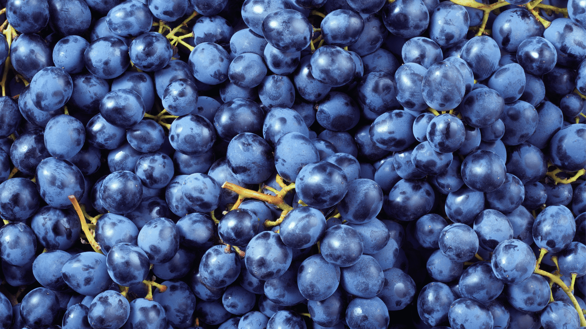 Wine and Beer Making Supplies - Danny's Wine & Beer Supplies